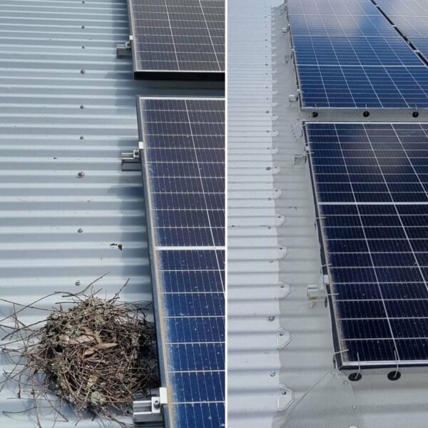 Solar Panel Protection - Melbourne Gutter Guard